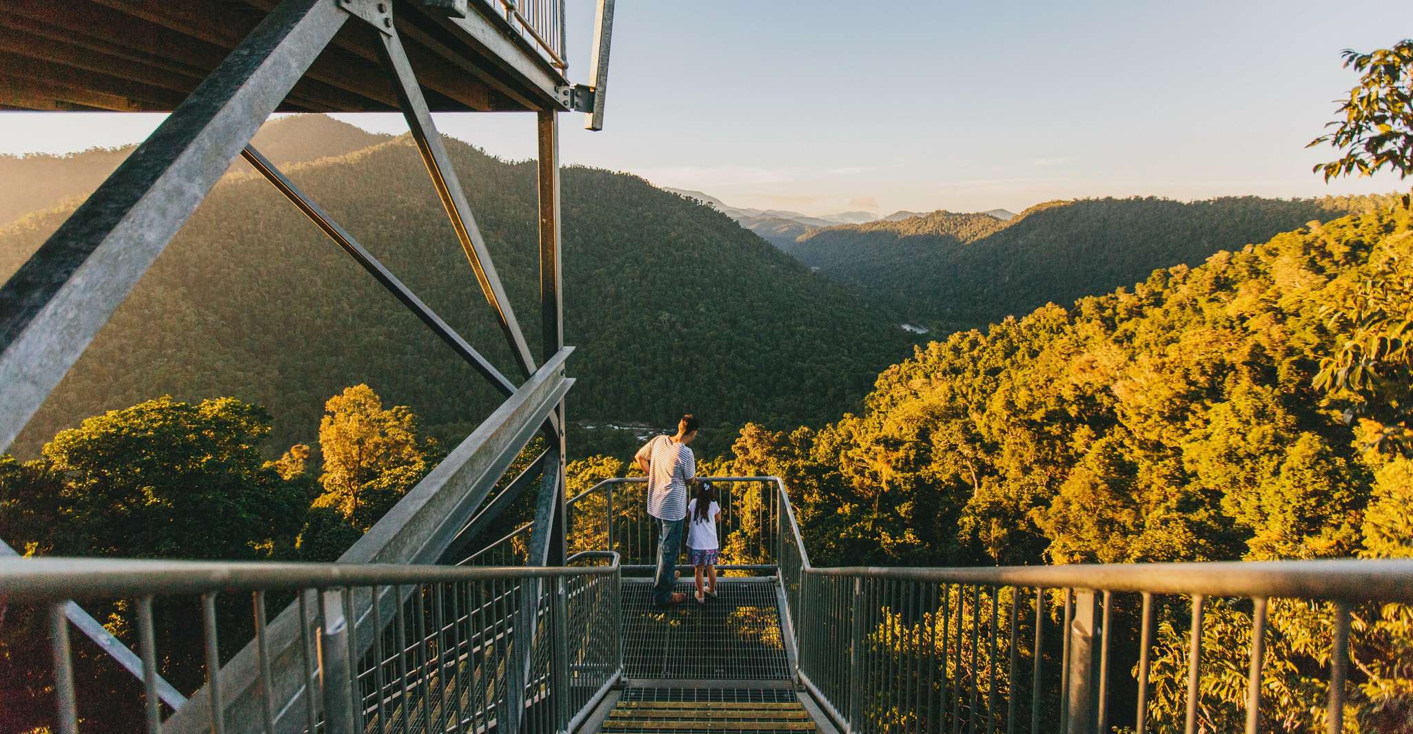 Wooroonooran National Park, Mamu Tropical Skywalk Admission | Entry ...