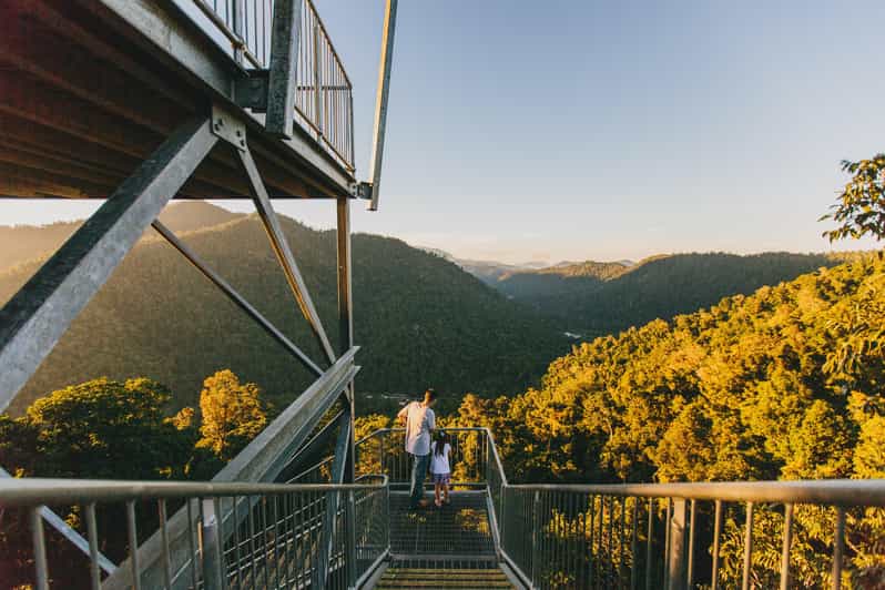 Wooroonooran National Park: Mamu Tropical Skywalk Admission | GetYourGuide