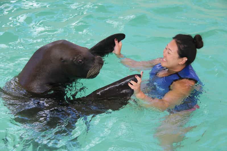 Coral World Ocean Park Tickets and Sea Lion Swim | GetYourGuide
