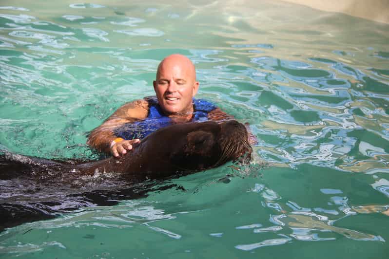 Coral World Ocean Park Tickets and Sea Lion Swim | GetYourGuide
