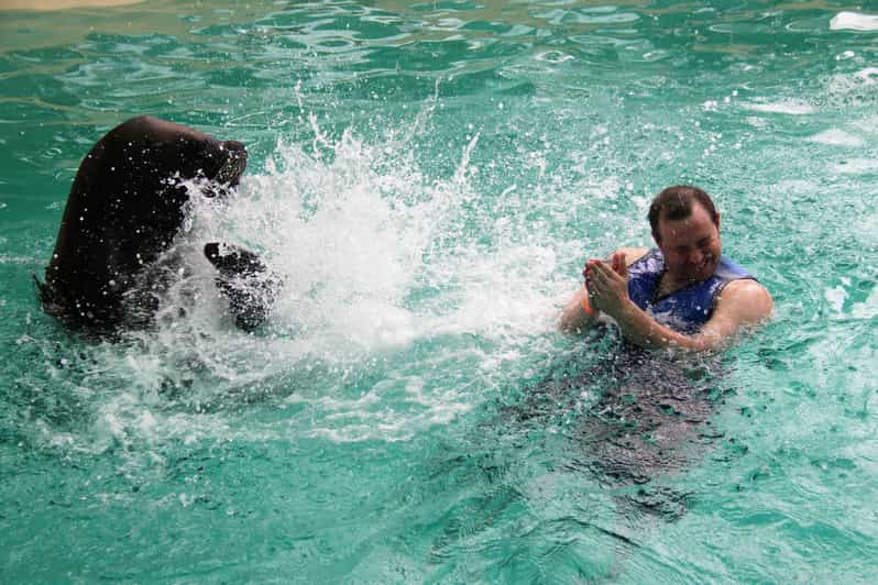 Coral World Ocean Park Tickets and Sea Lion Swim | GetYourGuide
