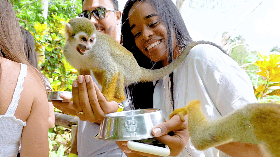 Monkeyland Puerto plata tour | GetYourGuide