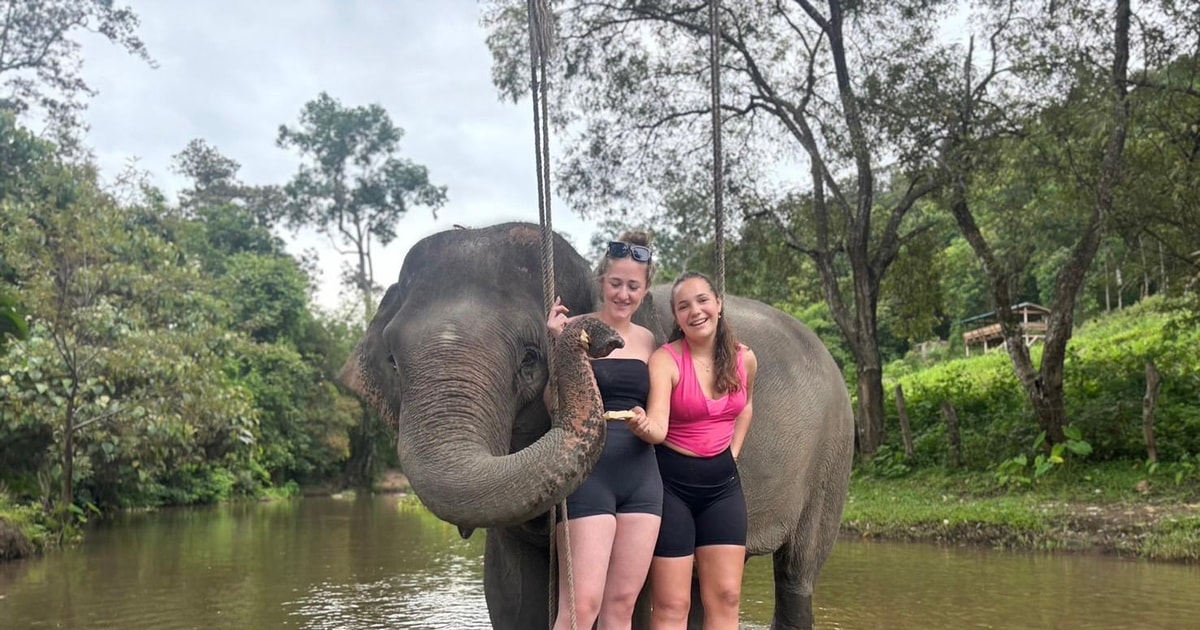 Chiang Mai : Visite du sanctuaire des éléphants et des chutes d'eau en ...