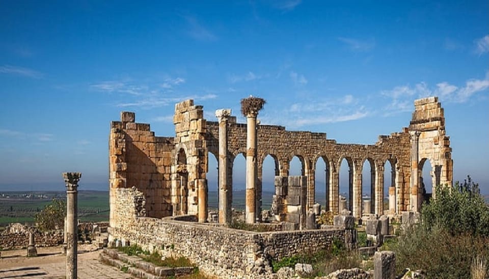 Day Trip from Fes to : Meknes, Volubilis and Moulay Idriss | GetYourGuide