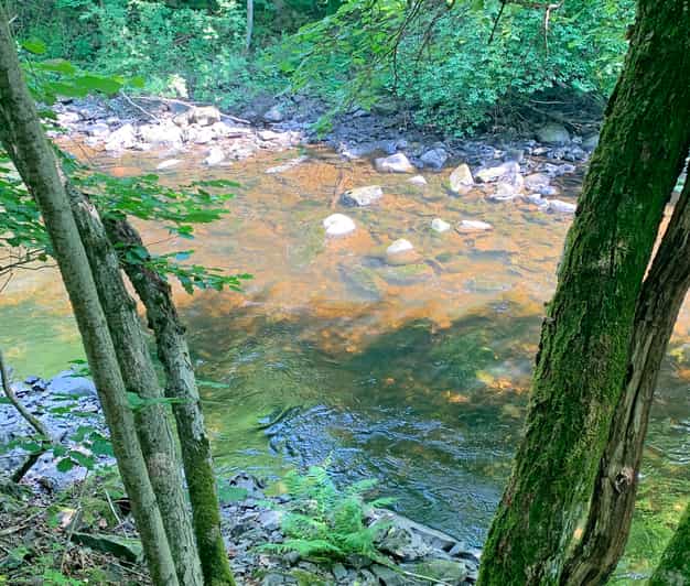 Oslo: Lysaker Wild River Walk | GetYourGuide