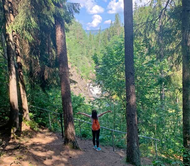Oslo: Lysaker Wild River Walk | GetYourGuide