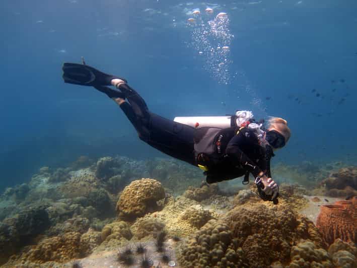 Koh Kood: 3-Day PADI Open Water SCUBA Diving Course | GetYourGuide