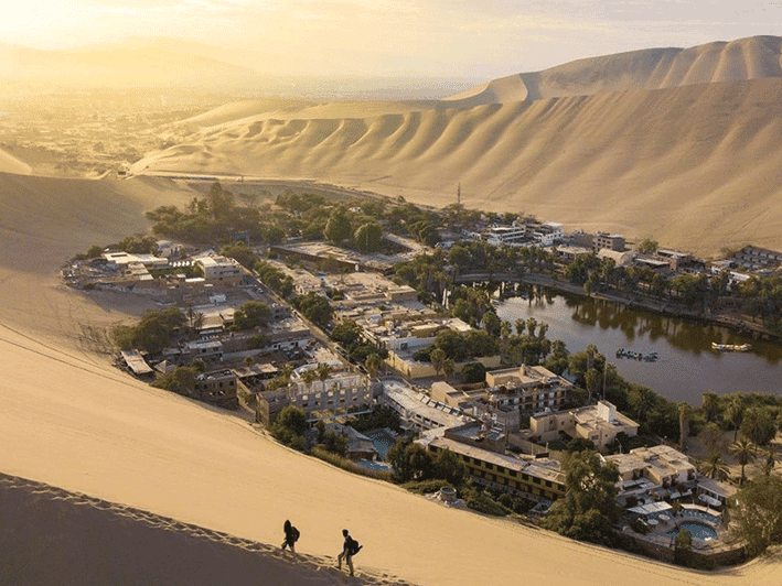 Lima: 2-Day Tour to Paracas, Pisco Vineyards, and Huacachina | GetYourGuide