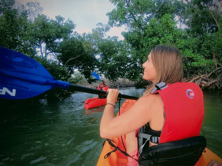 Fajardo: Bio Bay Kayak Tour | GetYourGuide