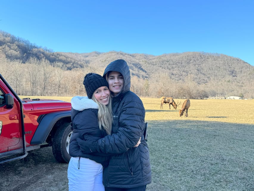 4 HR. Guided Safari Jeep Eco, ELK Wilderness Adventure | GetYourGuide