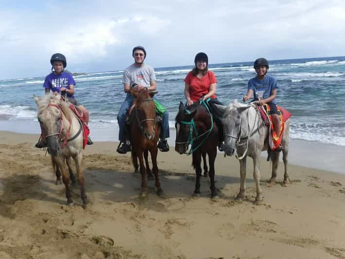 Puerto Plata: Horseback Riding on the Beach | GetYourGuide