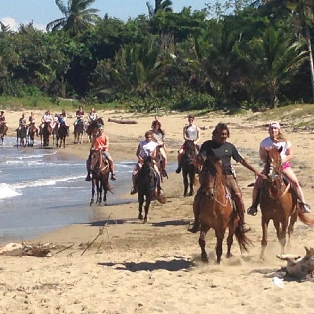 Puerto Plata: Horseback Riding on the Beach | GetYourGuide