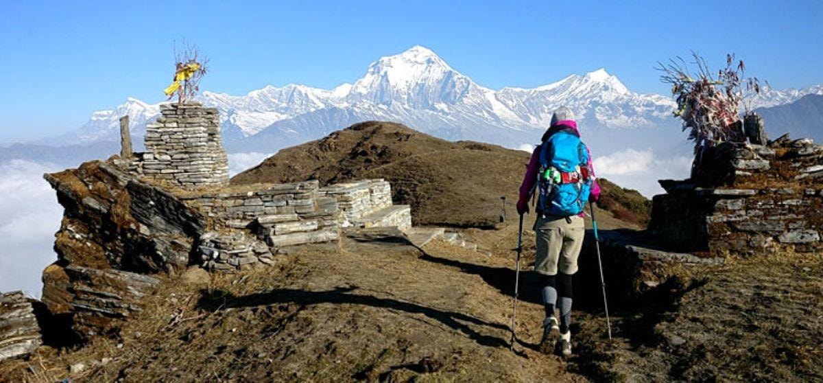 Khopra Danda Hill Trek @Annapurna Region, Nepal | GetYourGuide