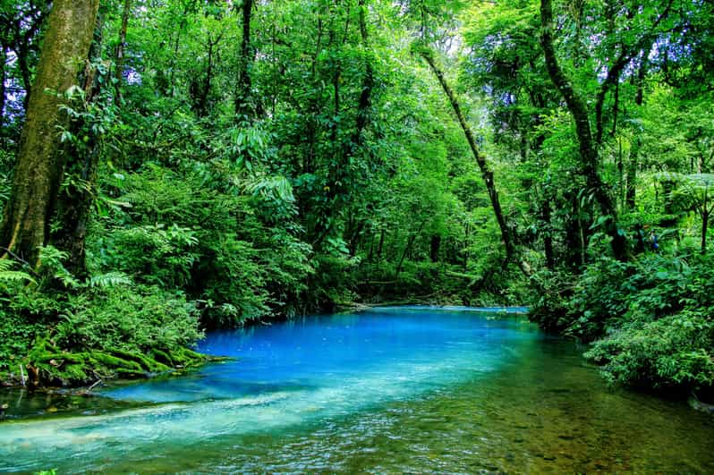 Tamarindo: Río Celeste y Cascada Llanos de Cortés | GetYourGuide