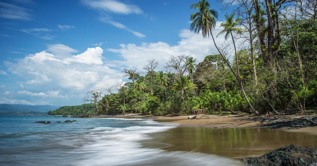 Corcovado National Park: Two Nights Corcovado Costa Rica | GetYourGuide