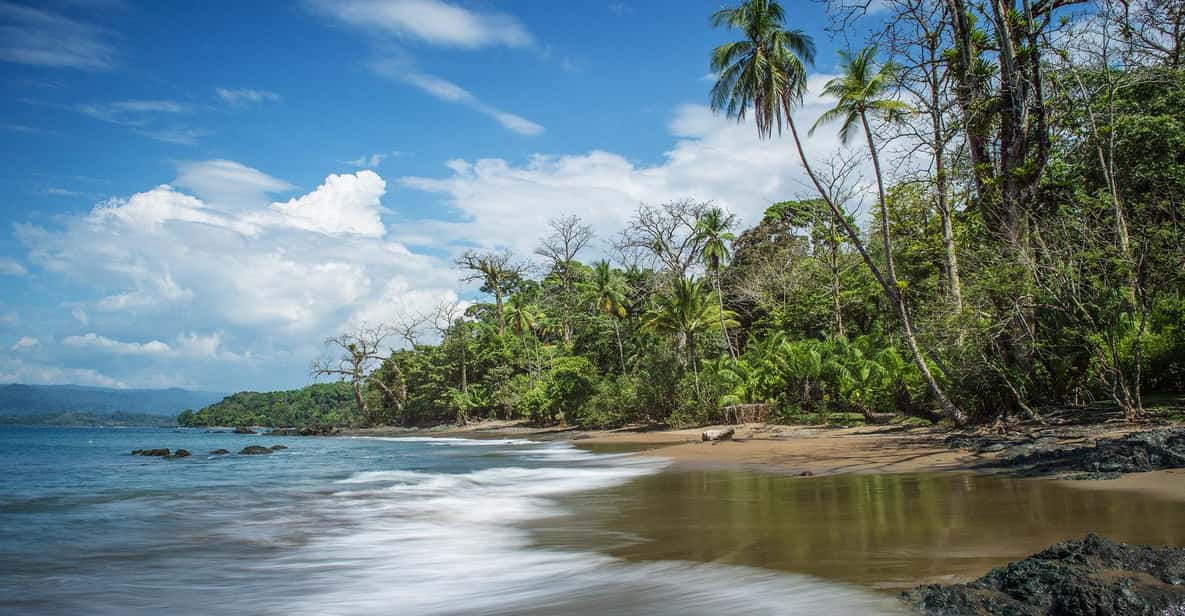 Nationaal Park Corcovado: Twee nachten Corcovado Costa Rica | GetYourGuide