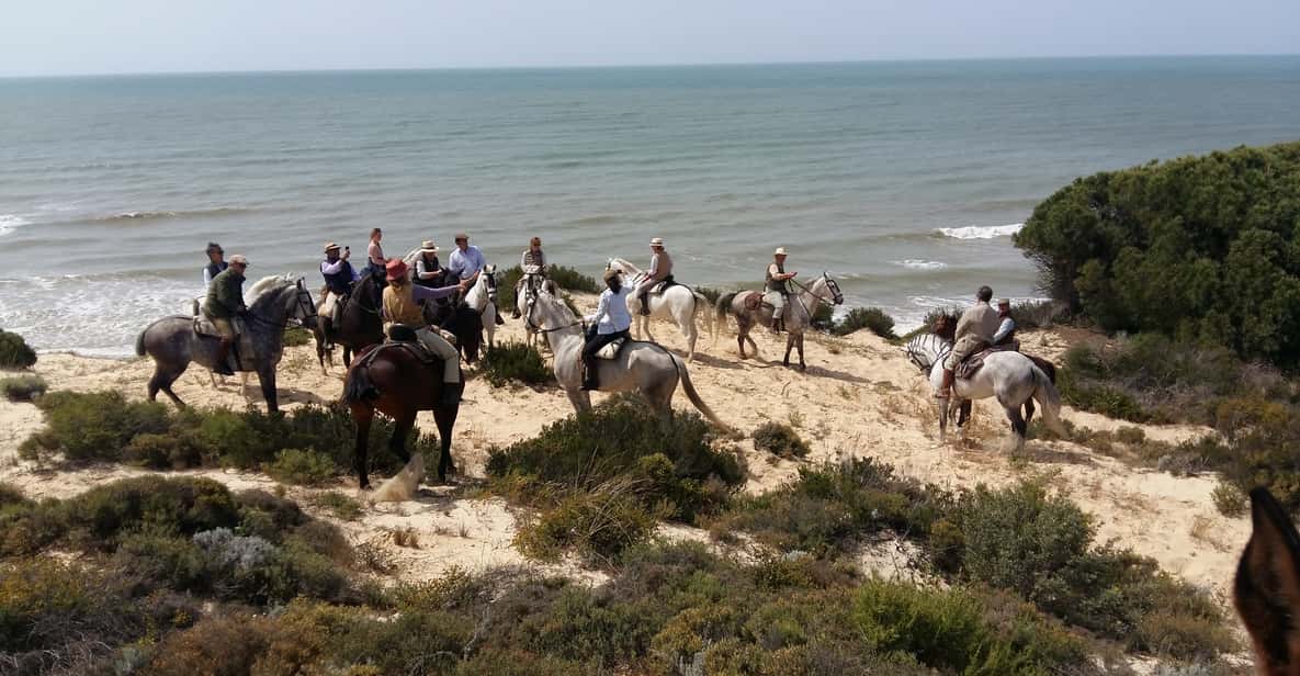 Ruta a Caballo por el Parque Nacional de Doñana | GetYourGuide