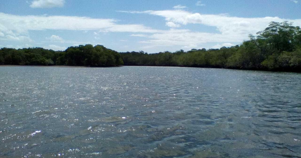 Tamarindo: Boat Safari at Las Baulas National Park | GetYourGuide