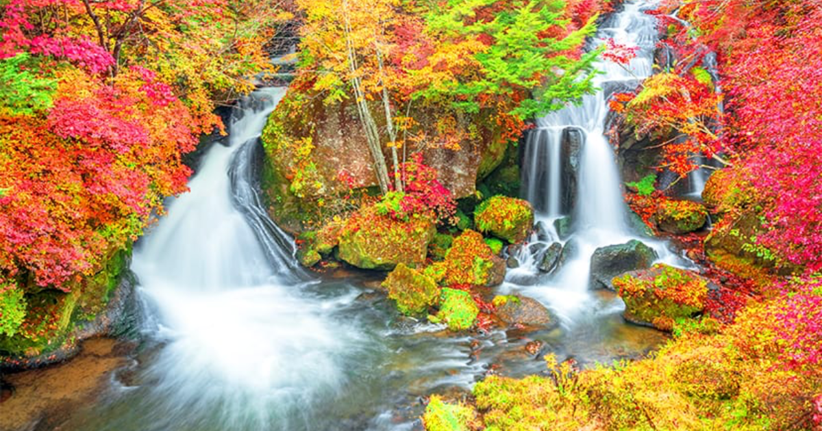 Ab Tokio: Nikko – private Tagestour mit englischsprachigem Guide ...