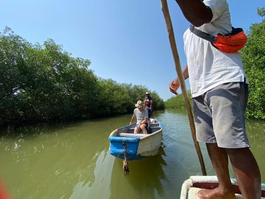 Ecotoer en vissen in de natuurlijke mangrove van Cartagena | GetYourGuide