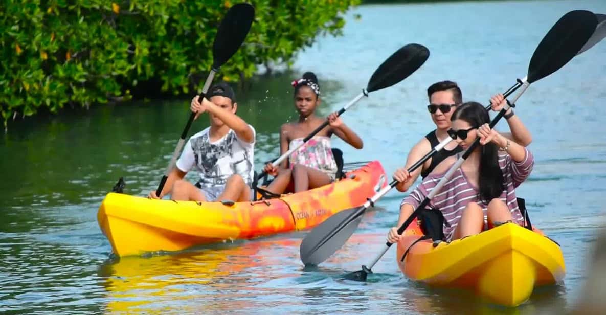 Mauritius: Amber Island Kayak or Small-Boat Tour | GetYourGuide