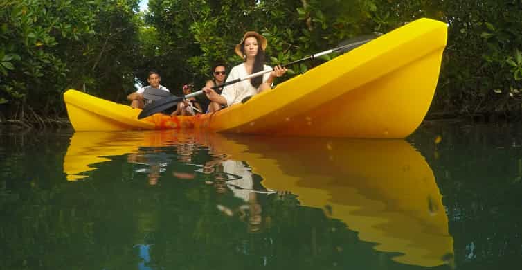 Mauritius: Amber Island Kayak or Small-Boat Tour | GetYourGuide