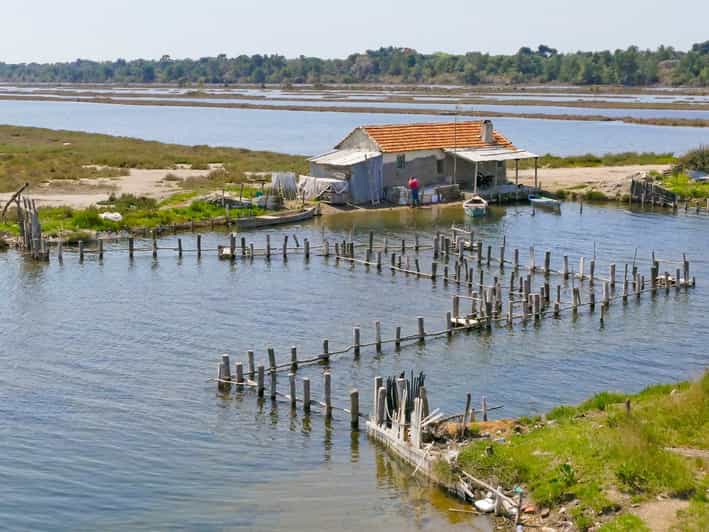 From Tirana: Birdwatching at Karavasta Lagoon with Lunch | GetYourGuide