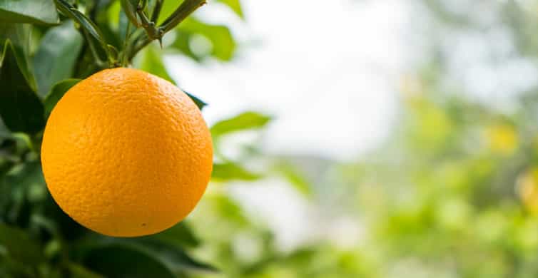 From Sarandë: Day trip to Konispol | GetYourGuide