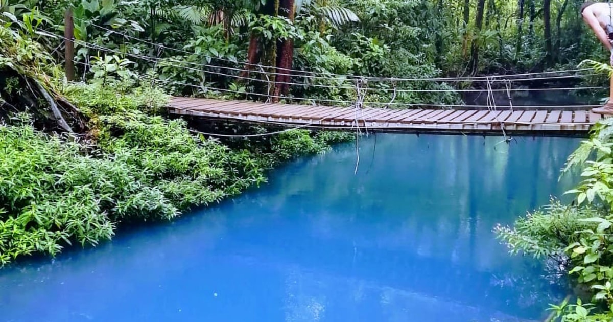 Caminata por el Río Celeste y vida salvaje de los perezosos | GetYourGuide
