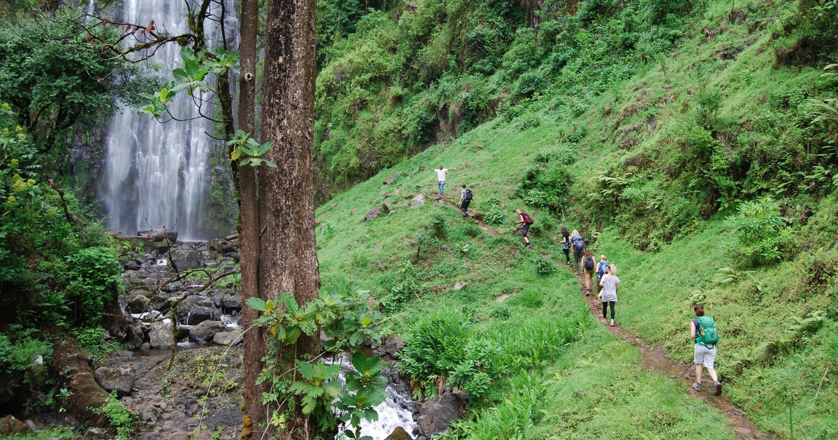 Moshi: Materuni Waterfalls and Coffee Farm Full Day Tour | GetYourGuide