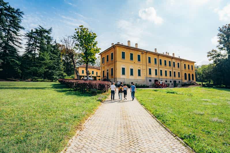 From Milan: Wine Tasting Tour in the Countryside | GetYourGuide