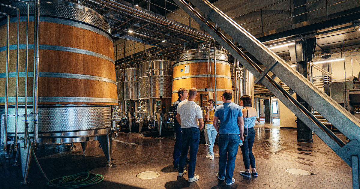 From Milan: Wine Tasting Tour in the Countryside | GetYourGuide