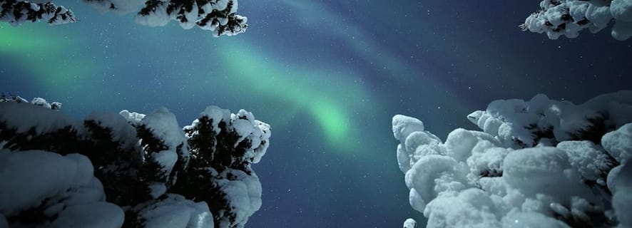 Wandering Owl | GetYourGuide-Anbieter