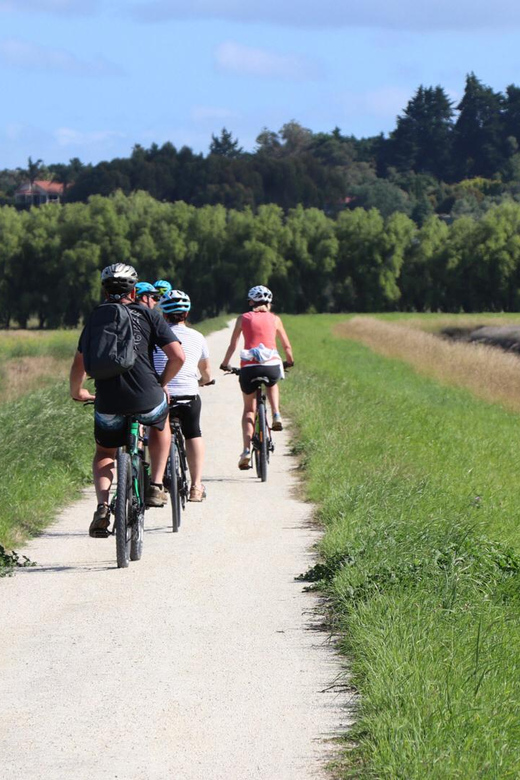 Napier: Art Deco Bike Ride and Wineries Loop | GetYourGuide