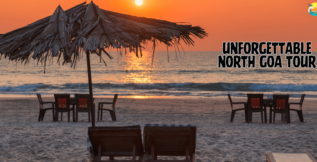 North Goa Trip | GetYourGuide