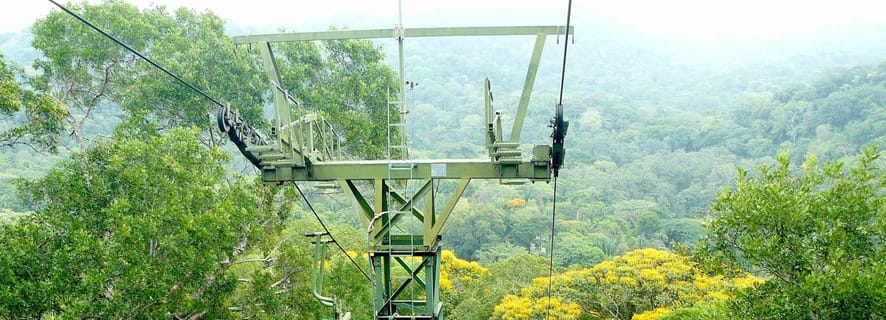 Gamboa Rainforest Reserve, Panamá Oeste - Book Tickets & Tours ...