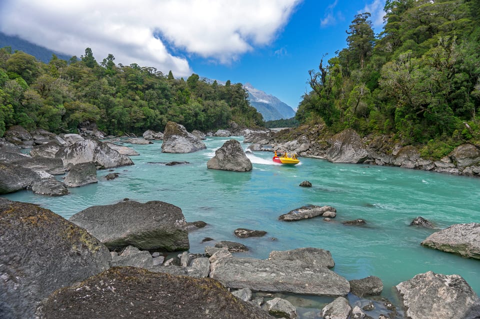West Coast: Eco River Safari in UNESCO World Heritage Area | GetYourGuide