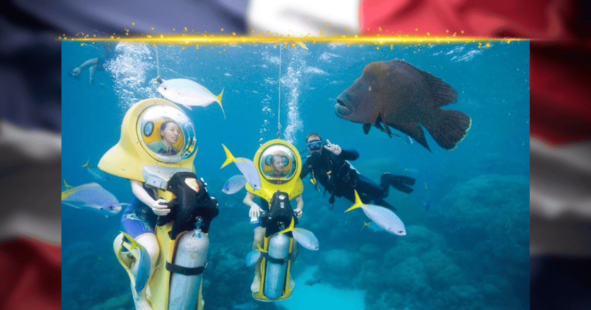 Punta Cana: Scubadoo Explore The Ocean | GetYourGuide