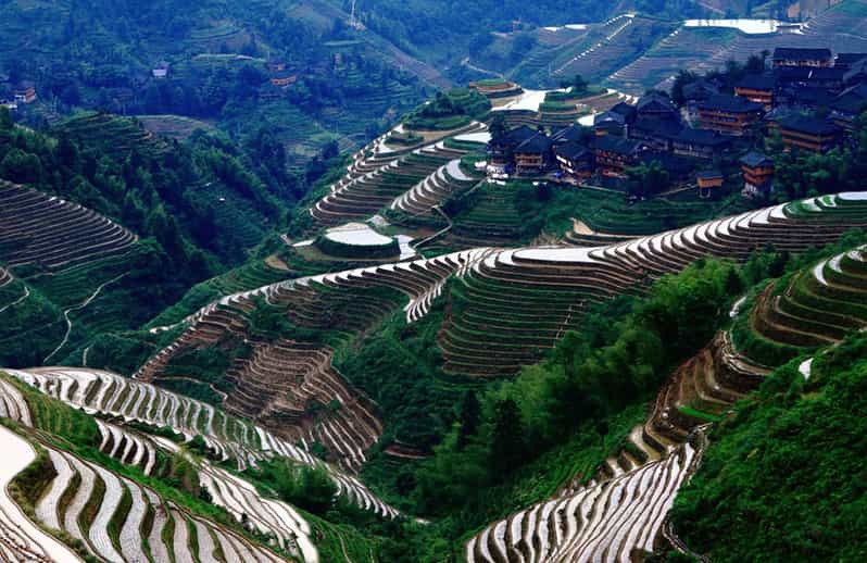 From Guilin: Longsheng Dragon's Backbone Rice Terraces | GetYourGuide