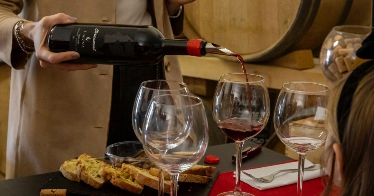 Vineyard & Cellar Tour with Wine Tasting near Pisa | GetYourGuide