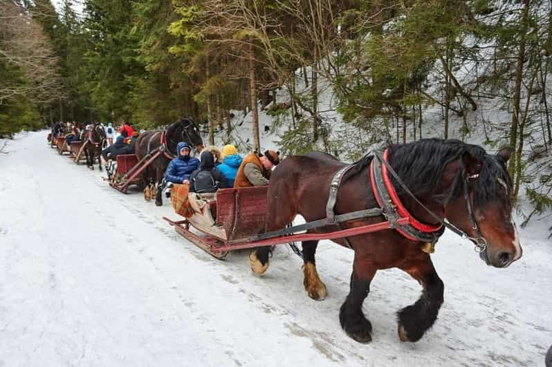 Promenade en traîneau à cheval de 2 à 3 heures avec les sources d'eau ...