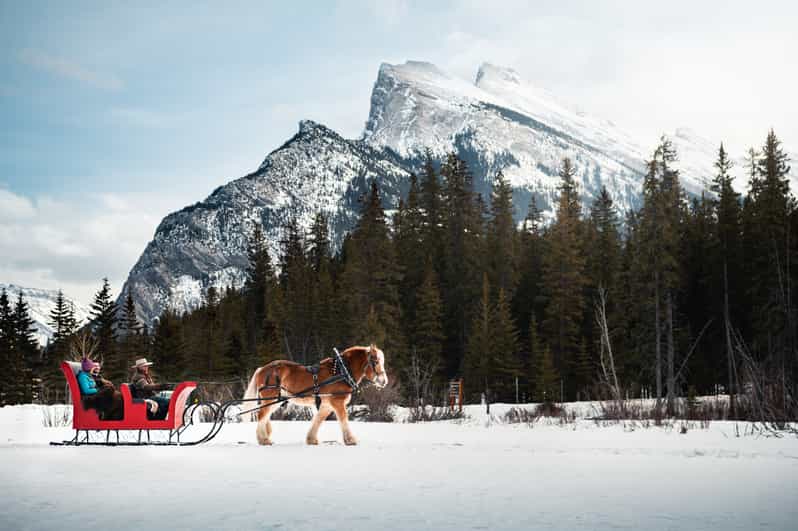 Banff: Romantic Horse-Drawn Sleigh Ride | GetYourGuide