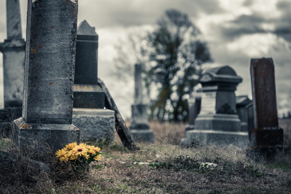 New Orleans: Cemetery Walking Tour | GetYourGuide