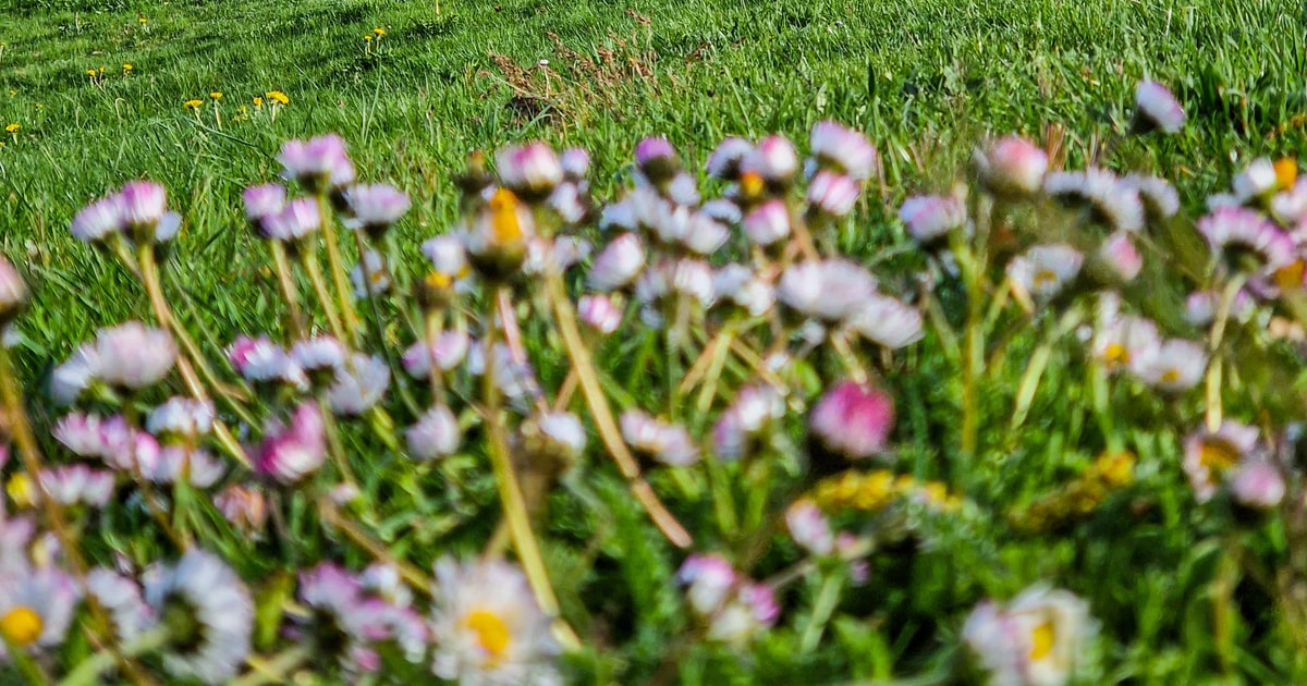 Vulcania Volcano Park Entry Ticket | GetYourGuide