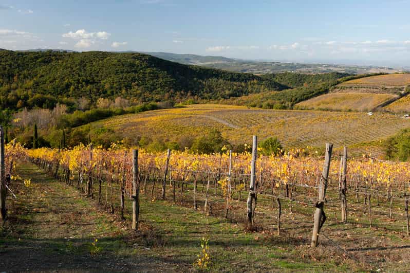 Brunello di Montalcino Full-Day Wine Tour with Tastings | GetYourGuide