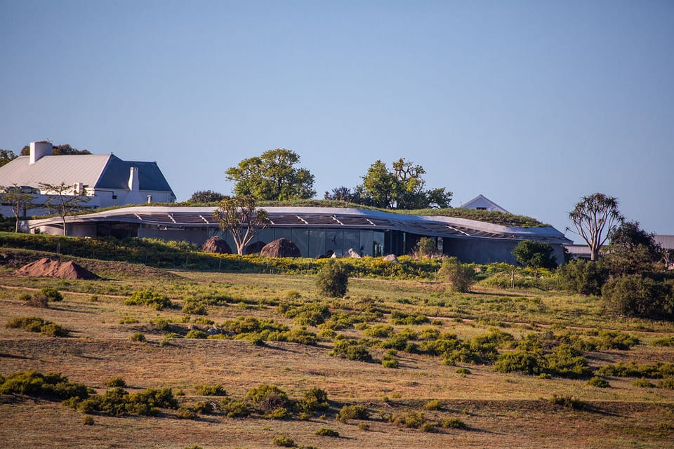 Yzerfontein: fietstocht en wandeling door San Heritage Centre met lunch ...