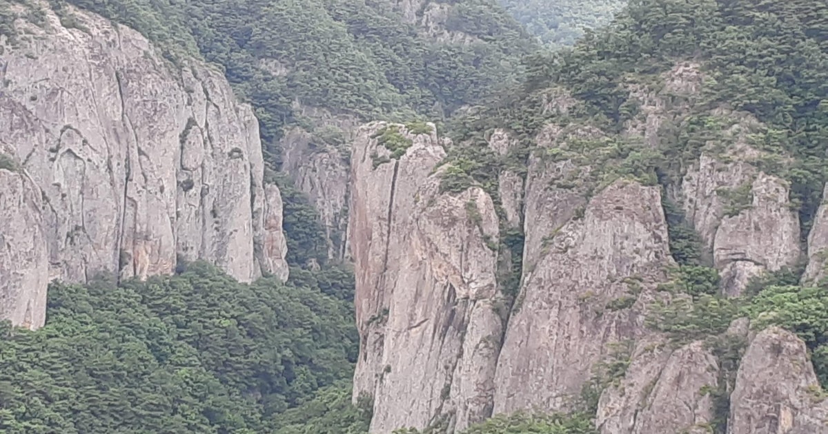 Andong Plecare: Drumeție în Cheongsong cu supă de pui locală | GetYourGuide