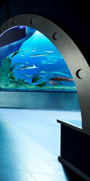 Istanbul Aquarium and Aqua Florya Shopping Mall Tour | GetYourGuide