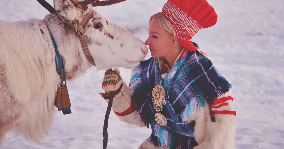 Tromsø: Reindeer Feeding and Sami Cultural Experience | GetYourGuide