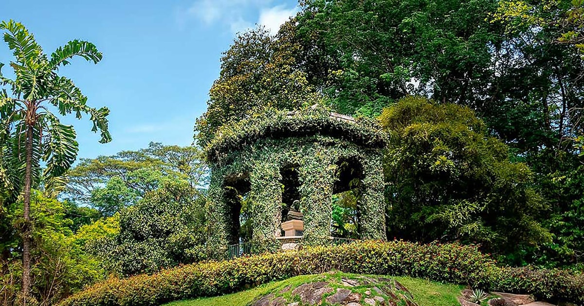 Discover the Botanical Garden and Lage Park: Carioca Nature | GetYourGuide